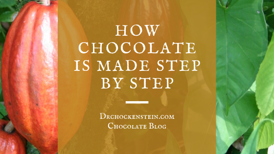 How chocolate is made step by step | Dr.Chockenstein– Dr.Chockenstein